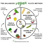 Vegan Meal Planner: Quick and Balanced Meals for the Whole Family ...